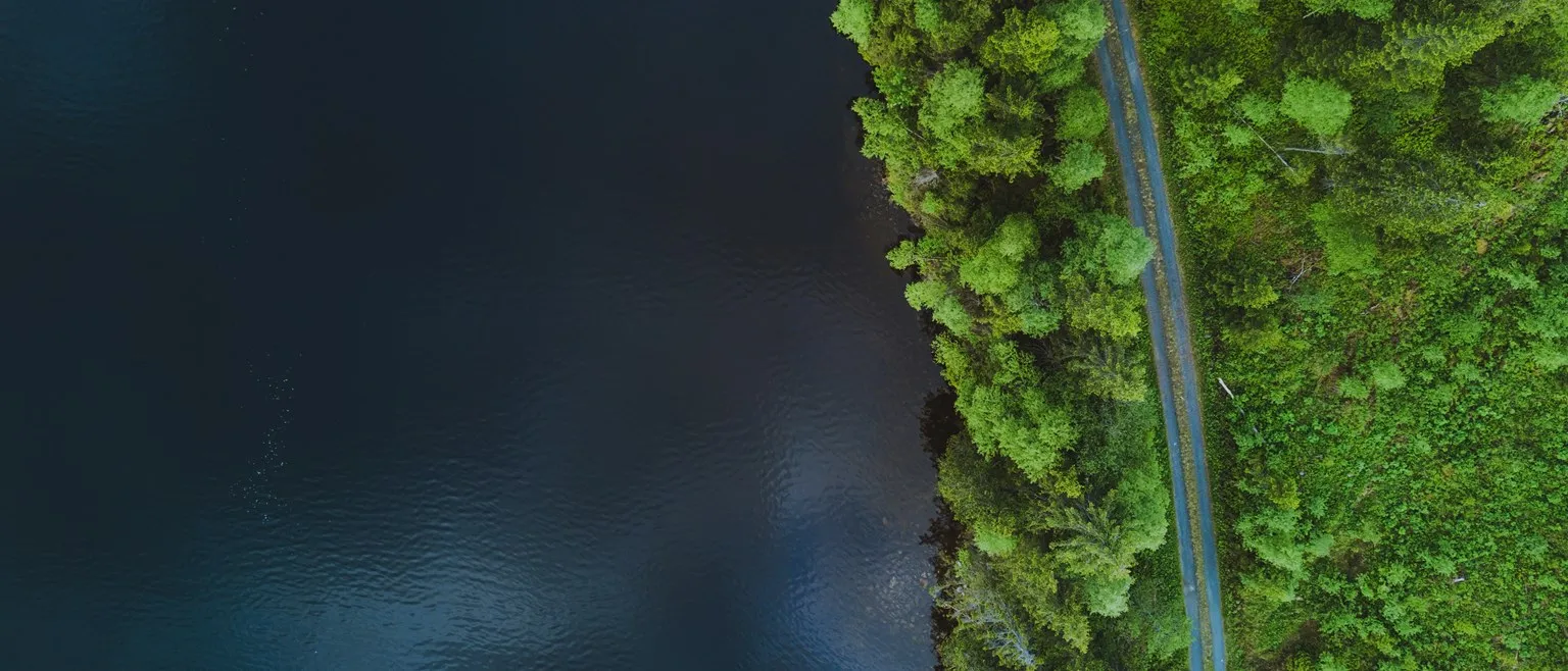 CFO Advisory Services - Interpath