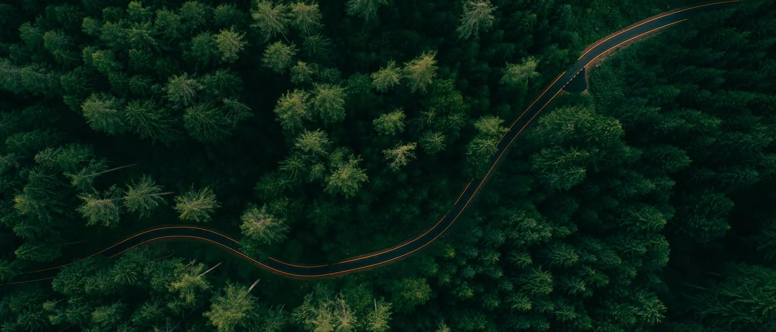 Services - Interpath