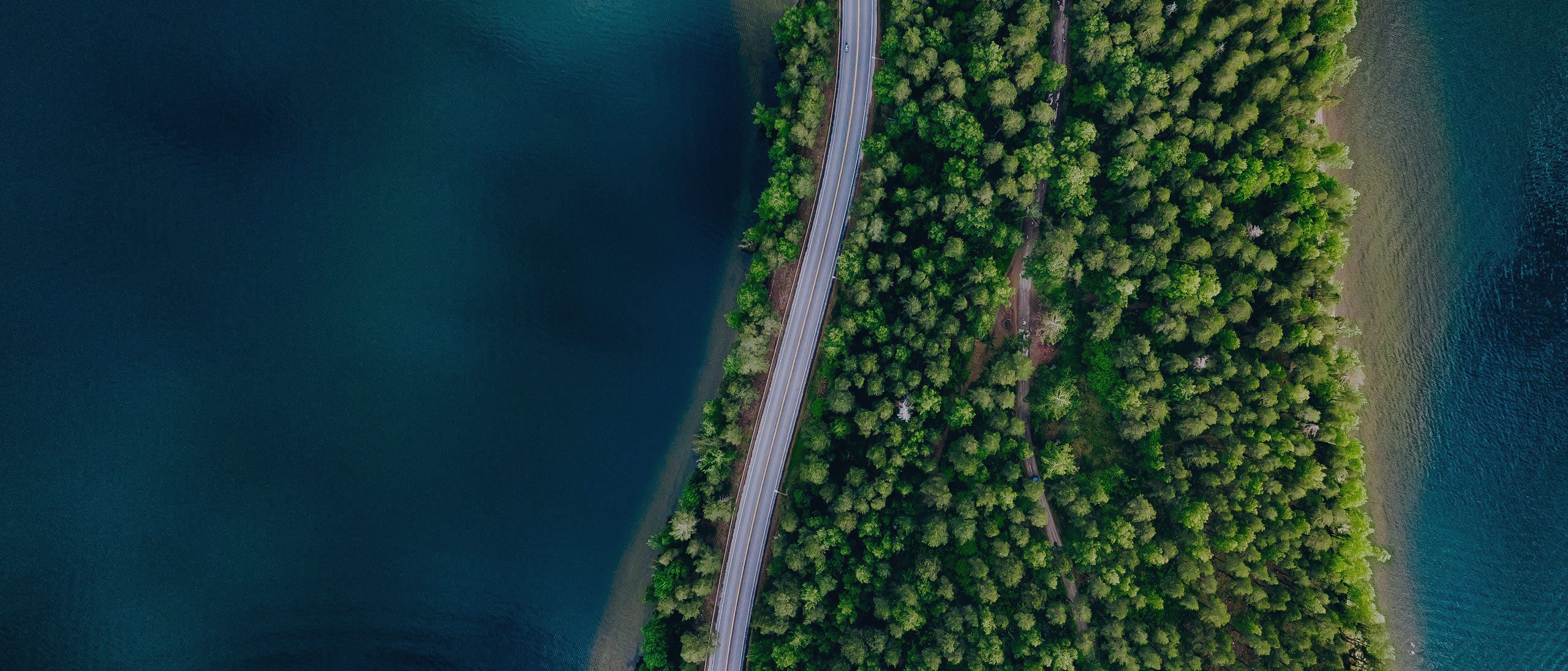 Corporate Simplification and Solvent Liquidations Team Experience ...